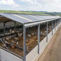 China Wind Resistant Steel Agricultural Portal Frame Buildings Processing Plant for sale