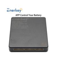 China Lithium Lifepo4 BMS Smart Active Balancer 8A 16S 24S Battery Equalizer 48V for sale