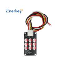 China Equalizer 3S 4S 5S 6S 7S 8S 9S 10S 11S 12S 13S 14S 15S 16S 17S 5A Active Balancer Lifepo4/lipo/lto Battery Capacitor for sale