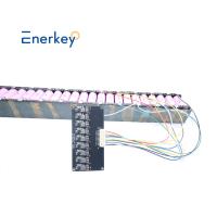 China BMS Active Equalizer 1A 10S Lithium Ion / Lifepo4 Battery Cell Balancer For E Bike for sale