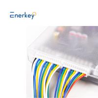 China Enerkey Smart Active Balancer 4A 2S-24S LTO Lithium Battery Balancer For E-bike for sale