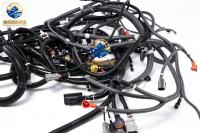China Sany 365 Original Factory Body Wiring Harness SY365CDI3K.5A.4.1B, Sany Material Code: 14039712 for sale