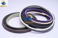 China Sany Original Hydraulic Cylinder Repair Kit JSY30(Ⅰ)-DB(Ⅳ), Sany Material Code: 61010744/61010744K for sale