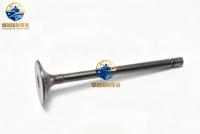 China Isuzu 6HK1 Engine Intake Valve
Part No.: 8-94395882-2
Sany Material Code: 60311948 for sale
