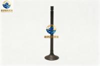 China Isuzu 6HK1 Engine Intake Valve
Part No.: 8-94395882-2
Sany Material Code: 60311948 for sale