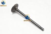China Isuzu 6HK1 Engine Intake Valve
Part No.: 8-94395882-2
Sany Material Code: 60311948 for sale