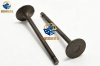 China Isuzu 6HK1 Engine Intake Valve
Part No.: 8-94395882-2
Sany Material Code: 60311948 for sale