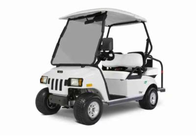 China FoShan RJ 72v 96v 100ah 300ah 600ah lithium LFP batteries for Tomberlin Golf Fleet Trojan Battery replacement for sale