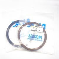 China NBR FKM Metric Hydraulic Seals 185MM X 210MM X 13MM Blown Color for sale
