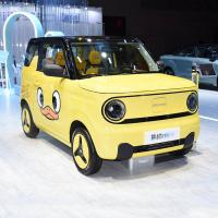 China GEELY Panda Mini Electric Car 120-200km Range 100km/h Top Speed Urban EV for sale