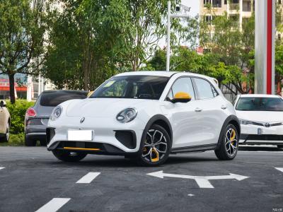 China Euler Good Cat GT Electric Vehicle with 401km Range and L2 Assisted Driving | 47.8 kWh Battery for sale