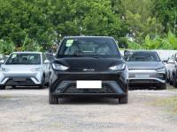 China 2025 BYD Seagull, EV range 305KM-405KM, upgraded configuration, lower price! for sale