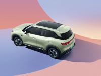 China 2025 BYD Yuan UP Pure Electric SUV 301km 401km Range Smart Driving Features for sale