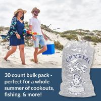 China Freezer Plastic Ice Cube Plastic Bag Customized Durable Reusable Mercantile 10 Lb Bags for sale