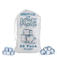 China Gravure Printing Packing Ice Packaging Reusable Dry Cold Eis Pack Gel Cooler Bag for sale