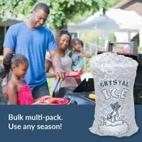 China Gravure Printing Packing Ice Packaging Reusable Dry Cold Eis Pack Gel Cooler Bag for sale