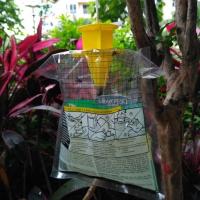 China Customized Size PVC Fly Catcher Fliegentasche Cage for Fly Control in Any Environment for sale