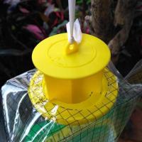 China Customized Size PVC Fly Catcher Fliegentasche Cage for Fly Control in Any Environment for sale
