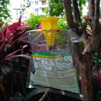 China Customized Size PVC Fly Catcher Fliegentasche Cage for Fly Control in Any Environment for sale