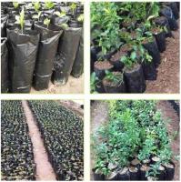 China Plastic Nursery Bag for Garden Plant Fruit Vegetable Flower Planter for sale