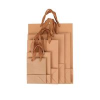 China Gravnre Printing Recyclable Kraft Paper Bag for Household Products Grocery Shopping for sale