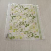 China Durable Double Zip Lock Bag In Plastic Sandwich Zipper PE Resealable Freezer Fruit Storage Bags for sale