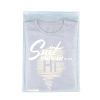 China Eco-friendly Custom Printing Plastic Packaging Transparent PE Frosted Zipper Bag for sale