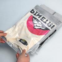 China Eco Friendly Printing Plastic Zip Lock Packaging Bags for Clothes 0.08mm Custom Dusty for sale