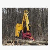 China Hydraulic Tracked Feller Buncher  Tractor With 331 HP Engine for sale