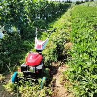 China 4 Stroke Self Propelled Lawn Mower 7.5HP Agricultural Automatic Lawn Mower for sale