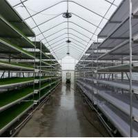 China Grass Hydroponic Fodder Machine Livestock Big Farm Fodder Growing Systems for sale