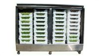 China Livestock Hydroponic Fodder Machine Barley Growing Automated Fodder System for sale
