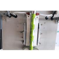China 220V Automatic Packing Machine for Food and Beverage Industry for sale