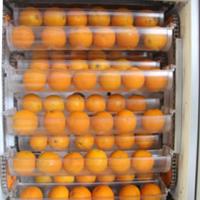 China New Design Ice Orange Juice Making Vending Machine With Credit Card Payment for sale