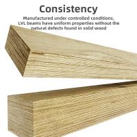 China Factory Wholesale JZL China Manufacture Fireproof Structural LVL Door Core Pine Wood Timber for sale