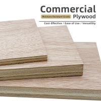 China JZL New Arrivals Sunhouse Versatile Plywood Sheet 4X8 Corrosion Resistance Commercial for sale