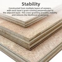 China JZL New Arrivals Sunhouse Versatile Plywood Sheet 4X8 Corrosion Resistance Commercial for sale