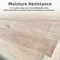 China JZL New Arrivals Sunhouse Versatile Plywood Sheet 4X8 Corrosion Resistance Commercial for sale