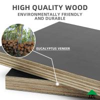 China High Quality Overlaid Melamine Faced Multilayer Film Faced Plywood Marine Plywood Construction Plywood for sale