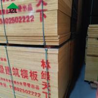China JZL Wholesale 1220X2440Mm Plain Commercial Plywood 3 Environmentally Friendly Sheet 4X8 for sale