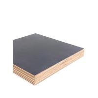 China Black Color Formwork Plywood for Construction Black Concrete Plywood Black Formwork for sale