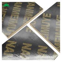 China 1220x2440mm 18mm Black Film Faced Plywood Marine Construction Formwork Phenolic Board Eucalyptus/poplar/pine Core Plywood for sale
