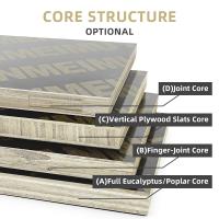 China JZL Premium Vertical Core Phenolic Plywood Waterproof Outdoor Concrete Shuttering Board with E2 Formaldehyde Emission Standards for sale
