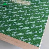 China High Strength 20mm Green PP Film Faced Plywood 4x8 for Slab Casting and Shuttering for sale