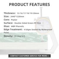 China 2440x1220mm PP Green Plastic Film Faced Plywood for Formwork and Building Projects for sale