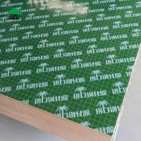 China High Strength 18mm Green Customizable Veneer Plywood 4x8 for Outdoor Formwork Water Resistant Eco-Friendly & Anti-Corrosion for sale