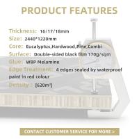 China WBP Melamine Vertical Slats Core Plywood Eco-Friendly Veneer Boards by JZL | Film Faced 16-18mm 1440x1220mm Eucalyptus Formwork for sale