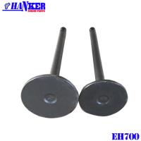 China Diesel Truck Engine Part Inlet Exhaust Engine Valve For HINO EH700 H06C 13711-1470 13715-1110 13715-1081 for sale
