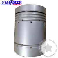 China DS50 Piston Liner Kits 13216-1050 For Hino Engine for sale