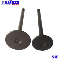 China Mitsubishi S4E Intake Valve Exhaust Valve 34404-00100 30604-01100 for sale